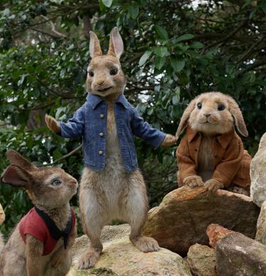 Peter Rabbit | Sony Pictures Belgium